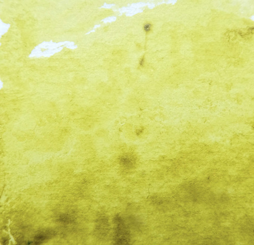 Azo Green Yellow - Extinct pigment | DellaMagna