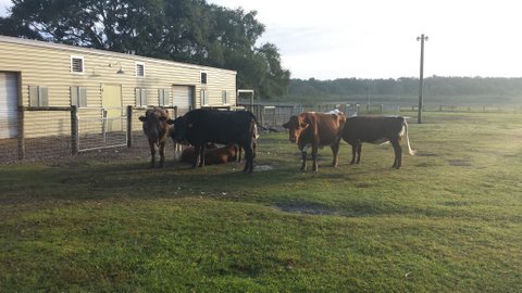 Farm Pics | lake-meadow-update