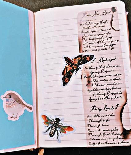 The Overflowing Journal (Only one) | B.K. Ministries