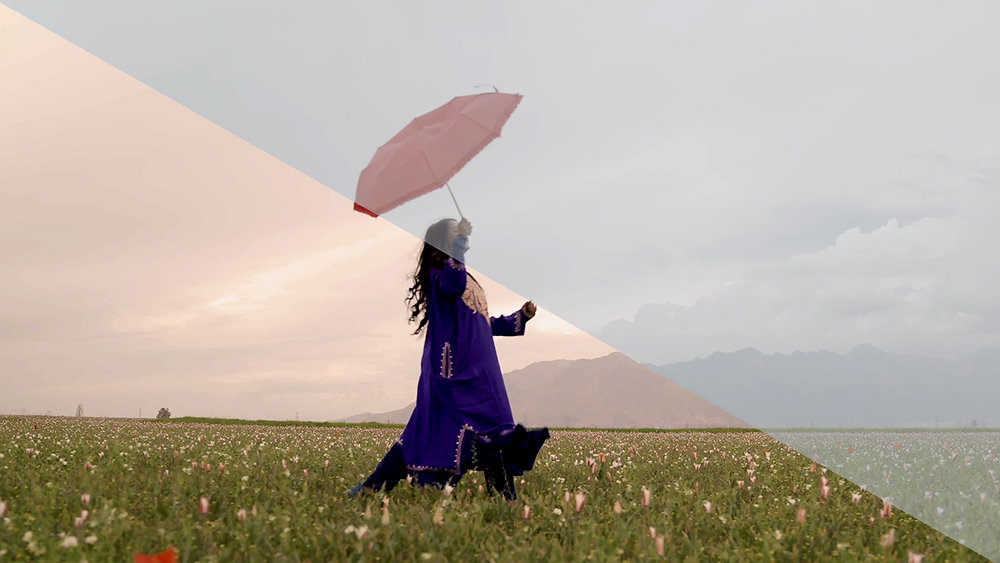 Demystifying Log Footage: A Comprehensive Guide for Filmmakers