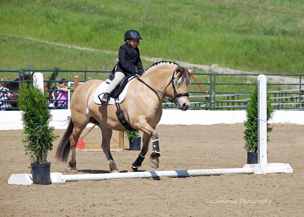 Working Equitation Canada | National Organization for Competitive Riding