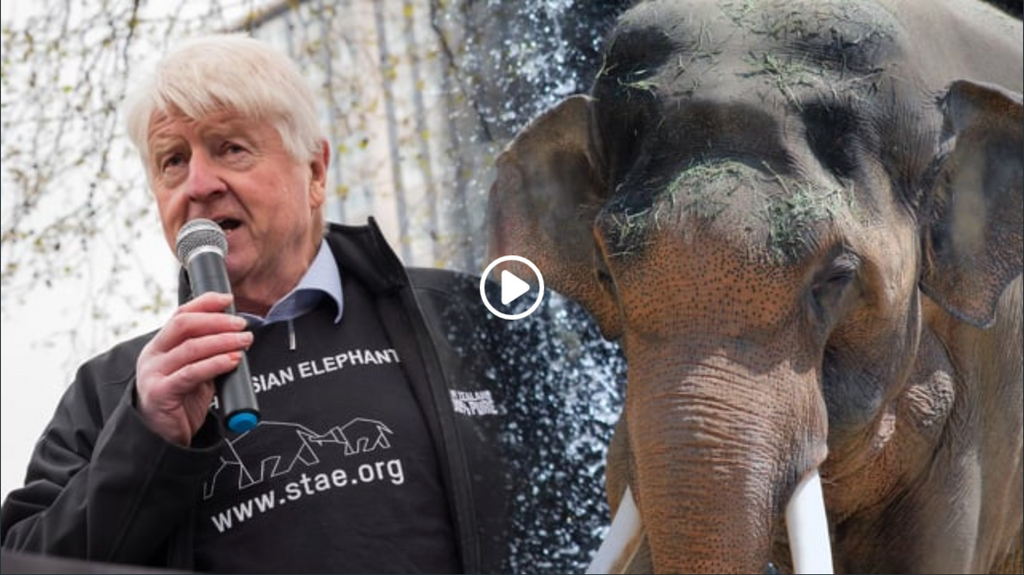 MEDIA BLOG | James Glancy