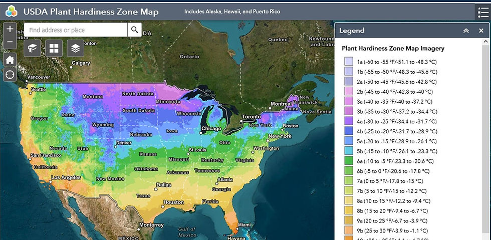 Contaminated Soil; How-To Container Garden