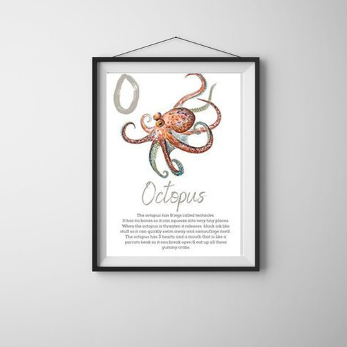 Octopus facts poster | BarefootChild