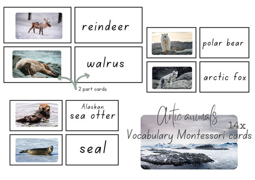 Artic animals - flashcards - WILDSCHOOL | BarefootChild