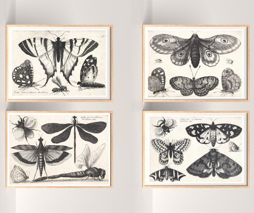 vintage nature insect posters | BarefootChild