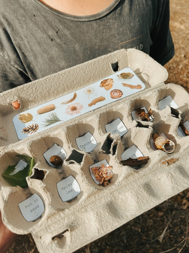 nature EGG CARTON hunt | BarefootChild