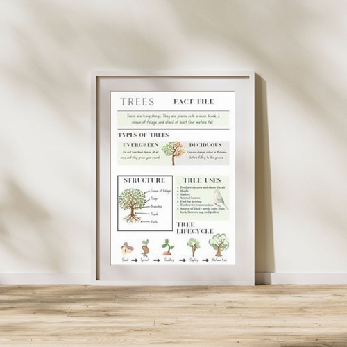 Tree facts posters | BarefootChild