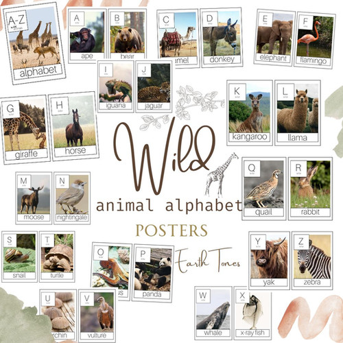 WILD alphabet animal flashcards/posters | BarefootChild