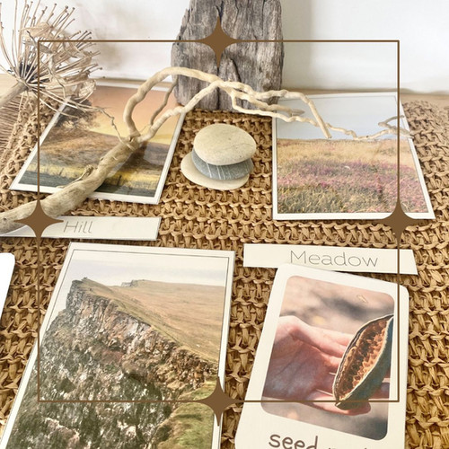 Nature formats 3 -part flash cards | BarefootChild