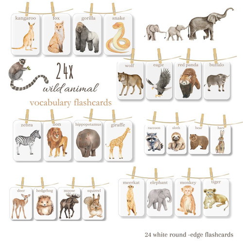 24x wild animal flashcards | BarefootChild