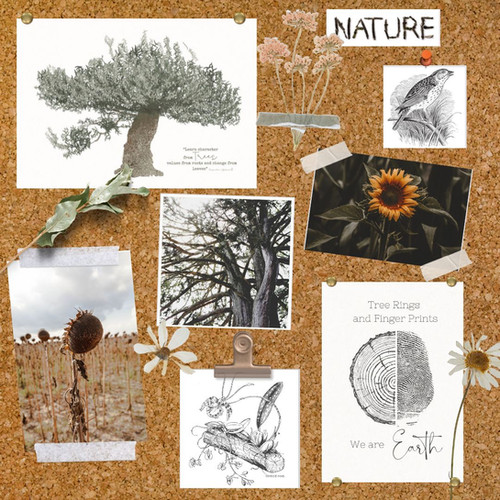 nature wall display posters | BarefootChild