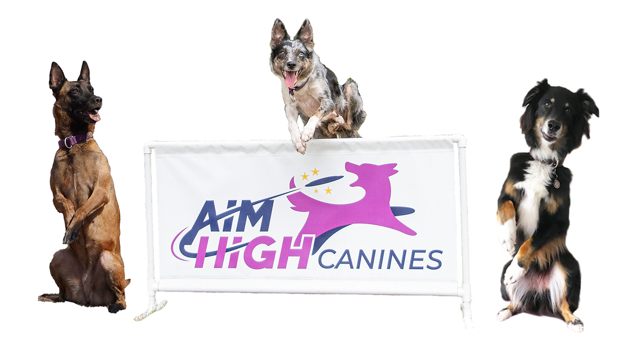 Grounds | Chautauqua Co Fair