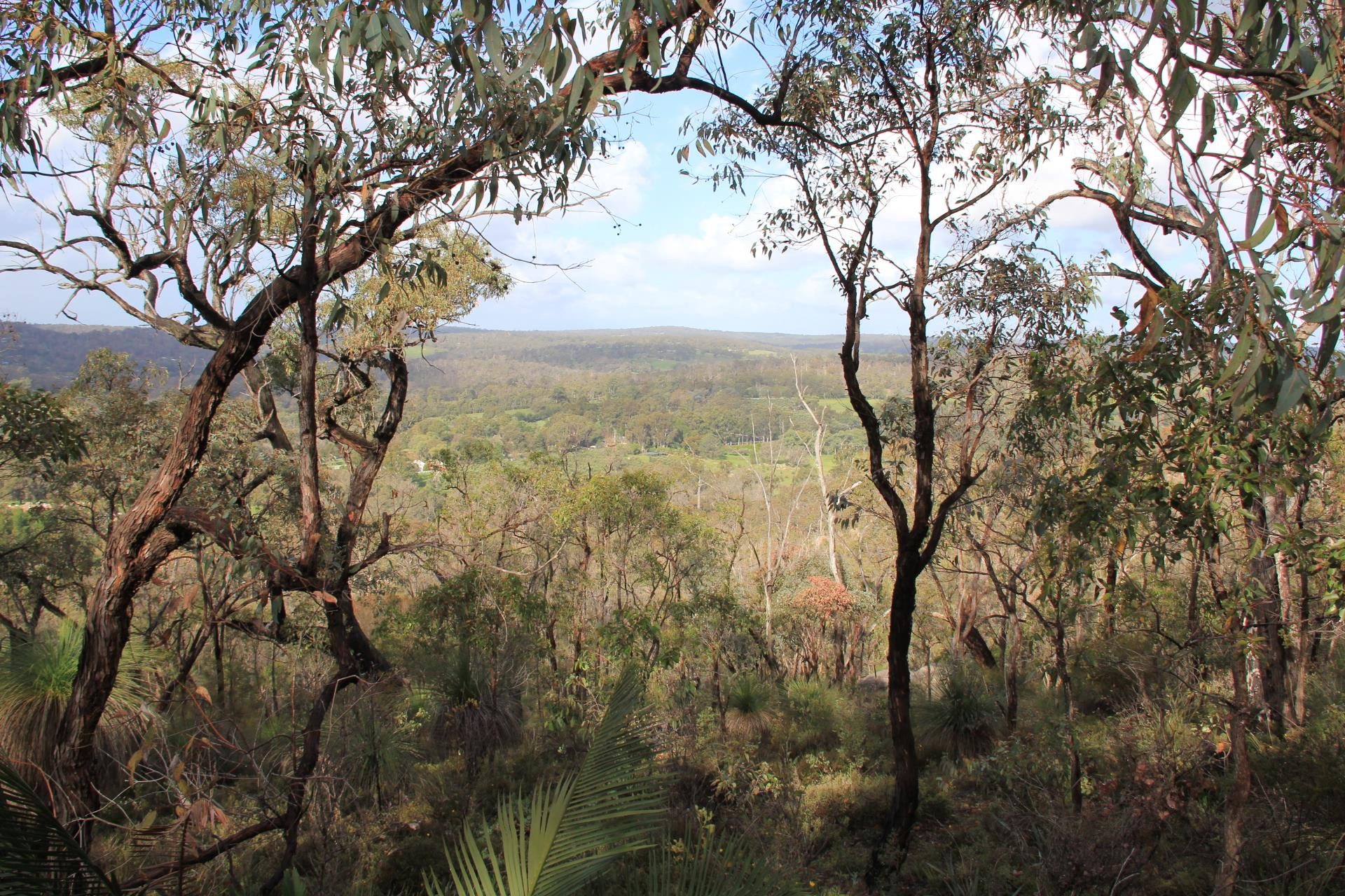 Environment | Save Perth Hills