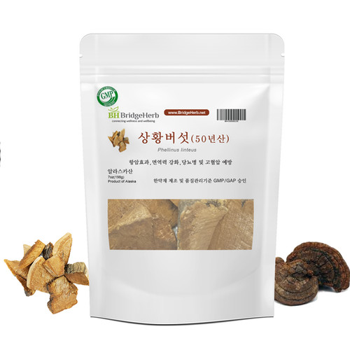 Phellinus linteus(50 years old) 7oz/198g | Bridge Herb