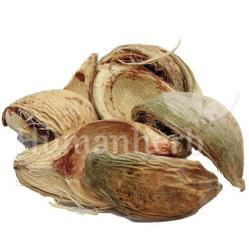 대복피 大腹皮 , Da Fu Pi | Han Song Herb