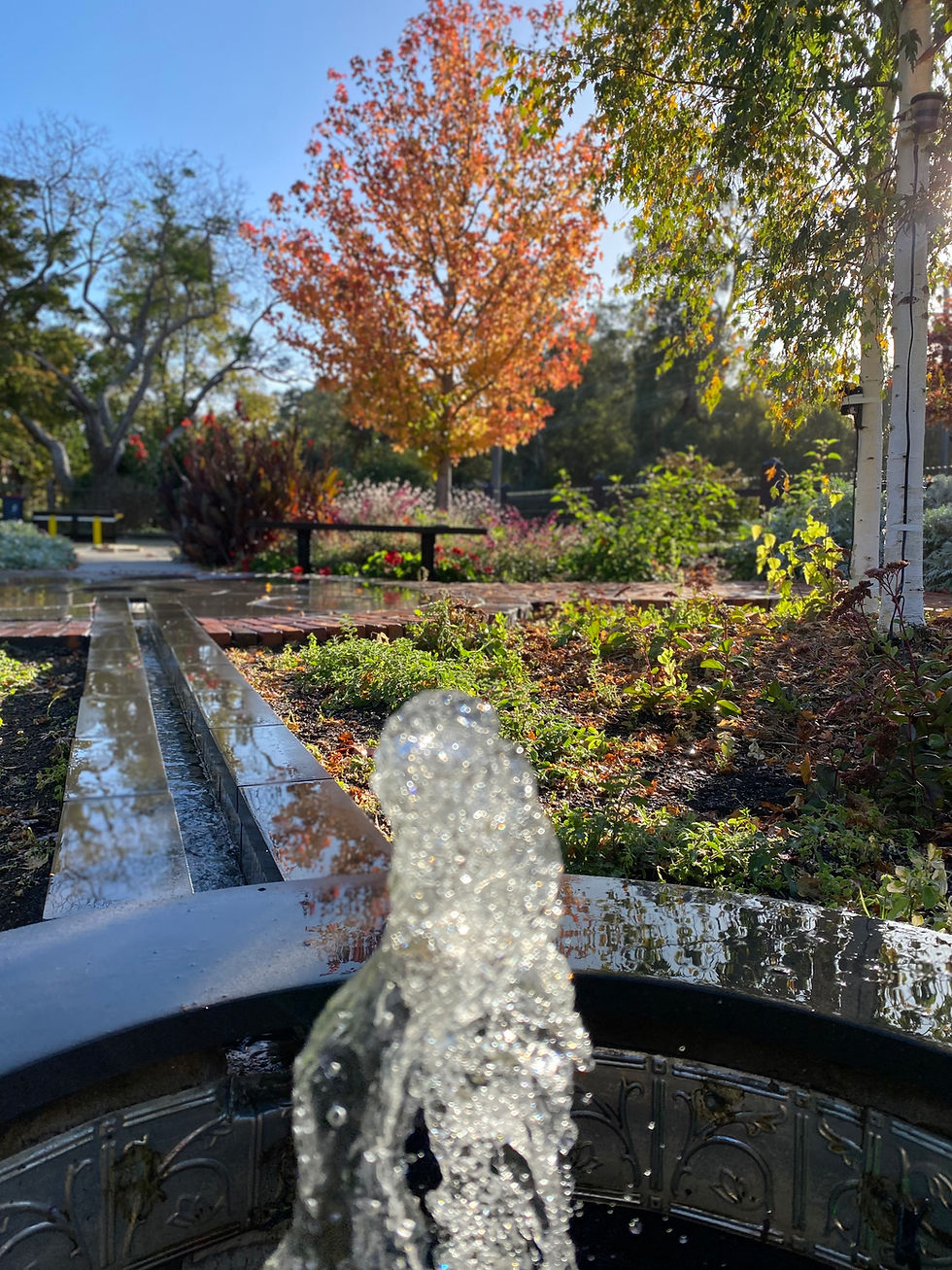 Landscape Service | Michael Hatton Landscapes | Australia