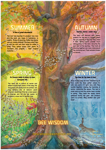 Bee Wisdom - A1 Poster | nbkt