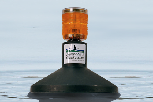 AWG Water Unit | Blue Water Aquatics