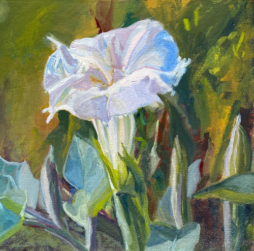 Datura Holding Light | Tauna Cole, Artist