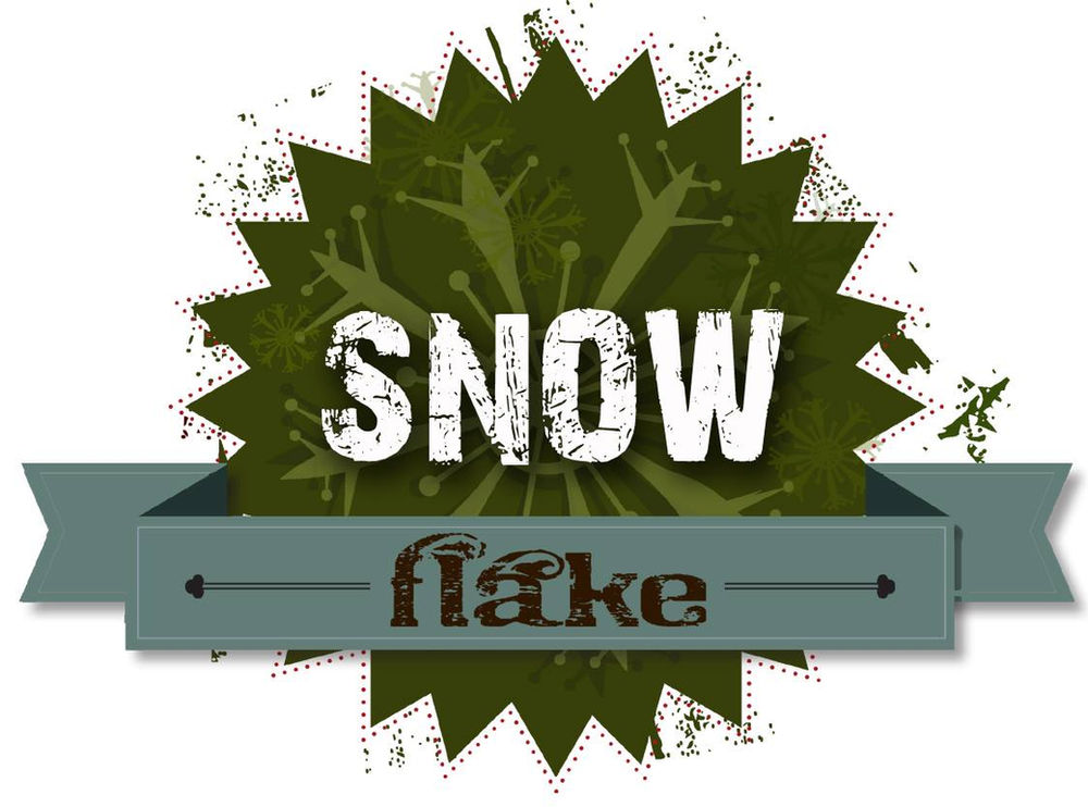 Snowflake Venue: Potchefstroom’s Premier Event Destination | The Go-To Guy