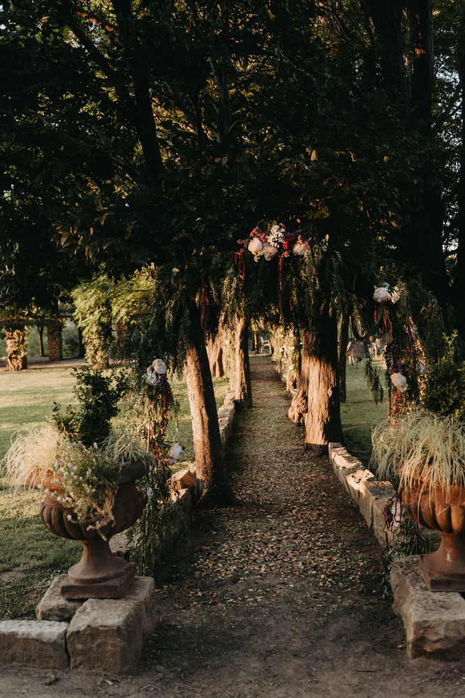 Vrystaat Safari’s Trouvenue – Waar Natuur en Liefde Ontmoet | The Go-To Guy