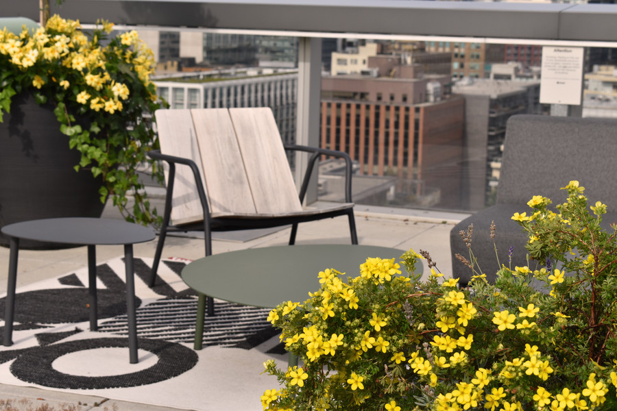 Benji's Plants and Maintenance in Greater Toronto Area, ON, Canada