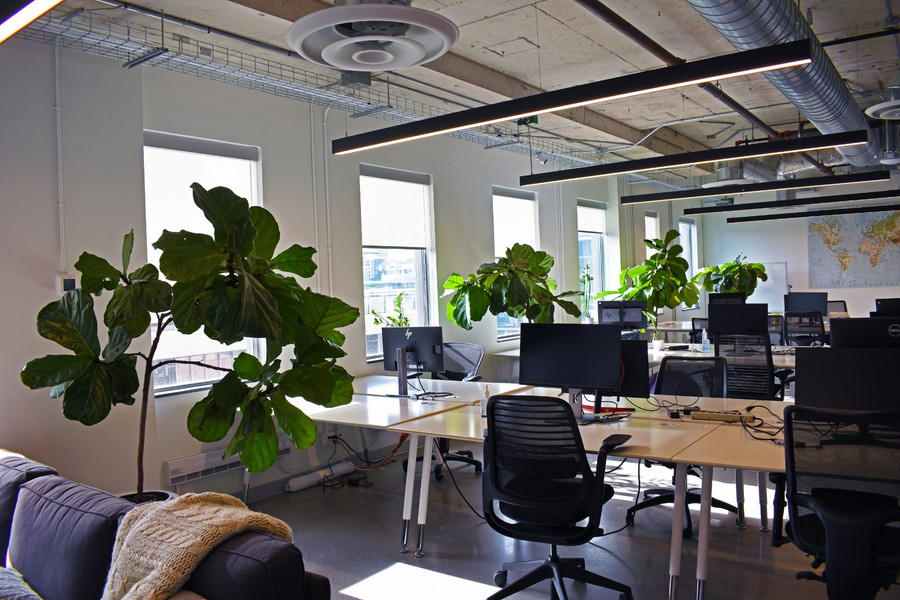 Benji's Plants and Maintenance in Greater Toronto Area, ON, Canada