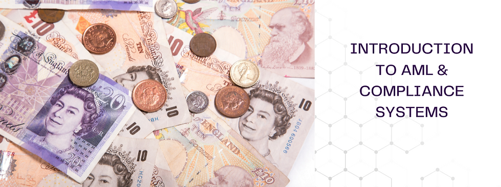 Introduction to AML & Compliance Systems