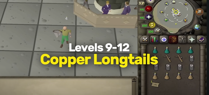 Complete 1-99 Hunter Guide for OSRS