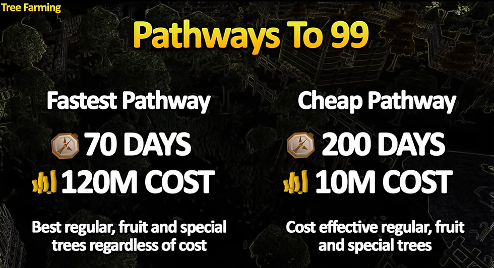 Complete Tree Farming Guide for OSRS - Tree Run Guide
