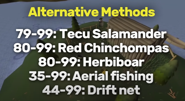 Complete 1-99 Hunter Guide for OSRS