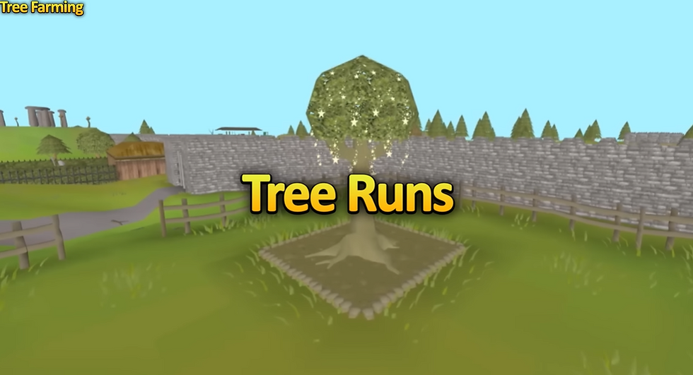 Complete Tree Farming Guide for OSRS - Tree Run Guide