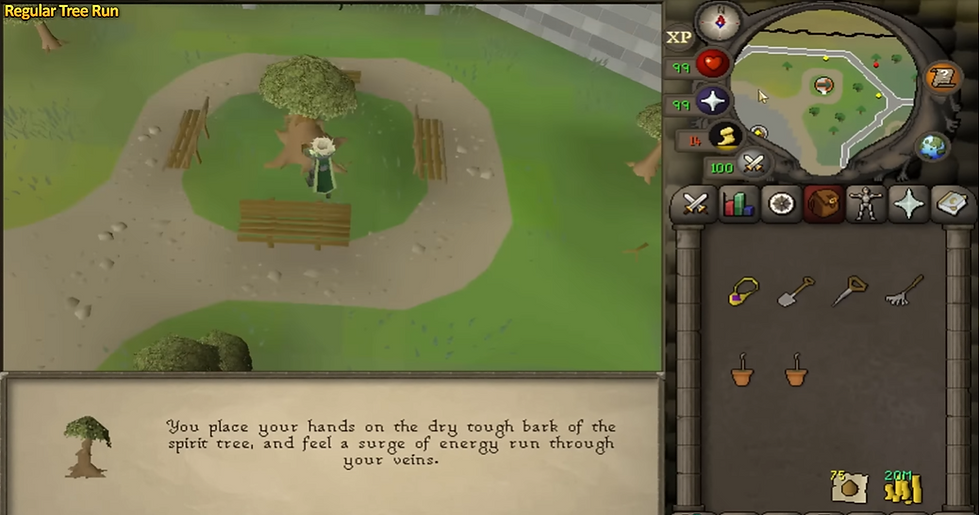Complete Tree Farming Guide for OSRS - Tree Run Guide