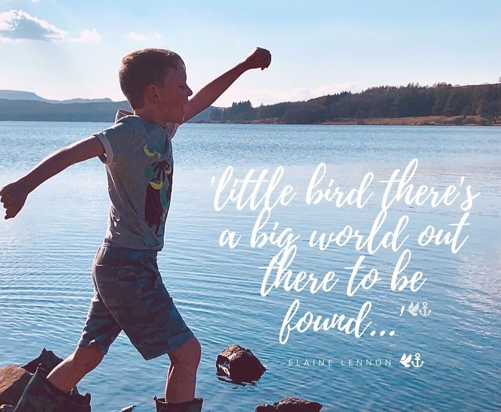 The story behind the 'Little Bird Little Sailor' logo and brand