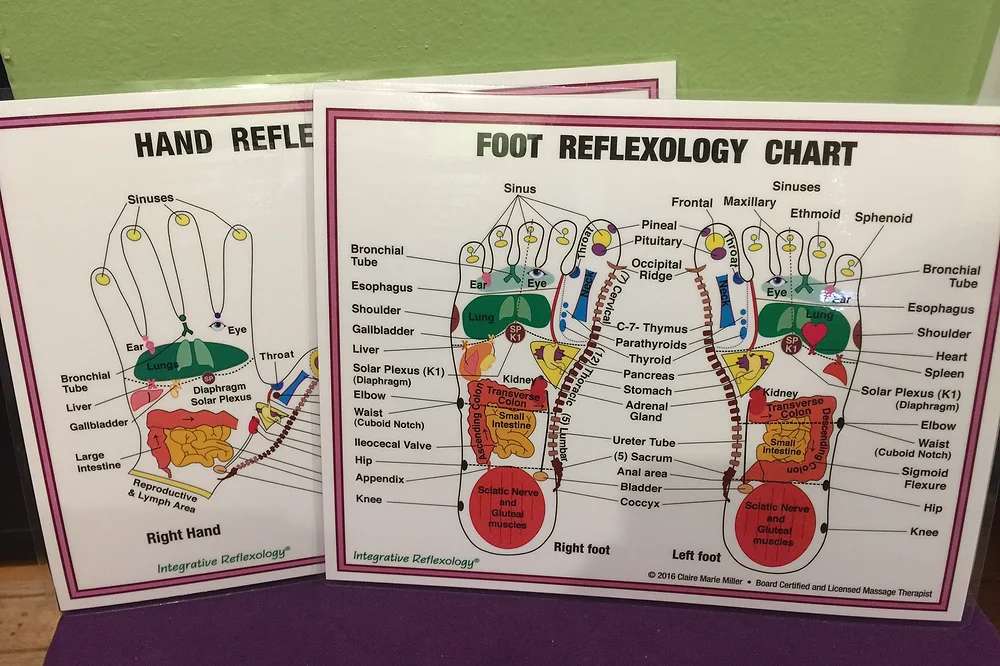 8.5"x 11" Integrative Reflexology® Charts | clairemariemiller