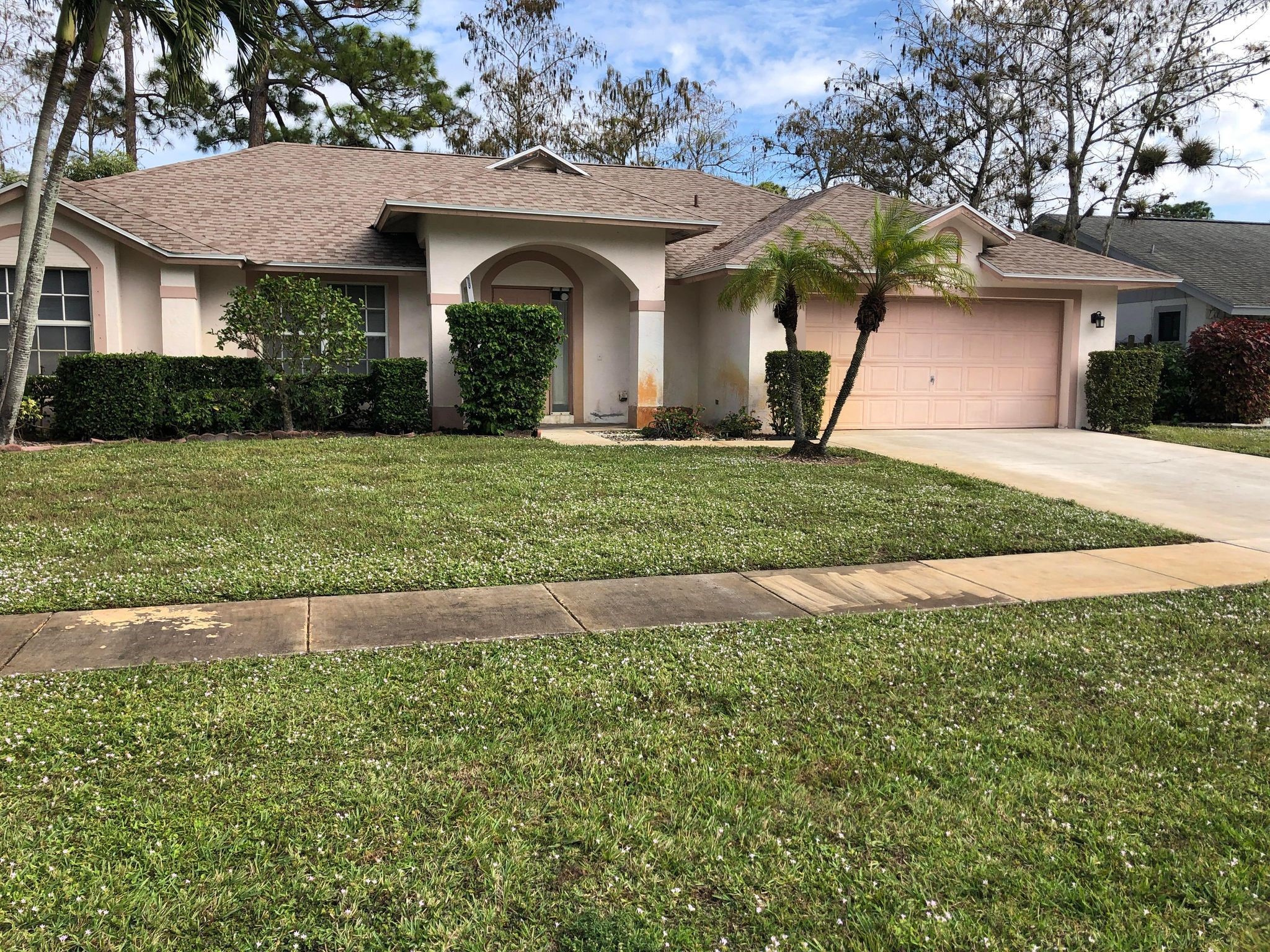 What are those orange stains on my house exterior walls?