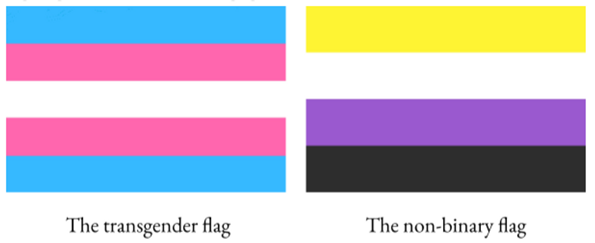 Gender and transgender identities : an explanation