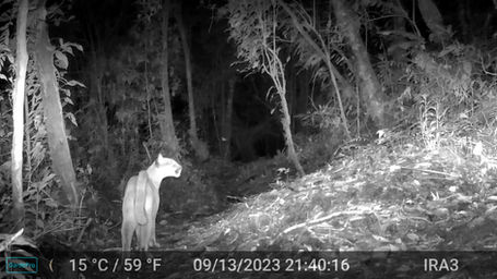 Costa Rica's Hikers Paradise | El Iral Cloud Forest