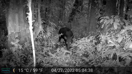 Costa Rica's Hikers Paradise | El Iral Cloud Forest