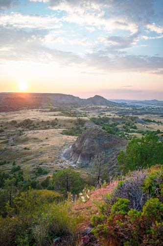 Perfect Freedom | Nbossenbroek