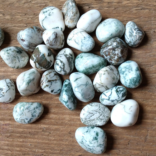 Agate, Tree 3 Tumbled | Arachnes Web