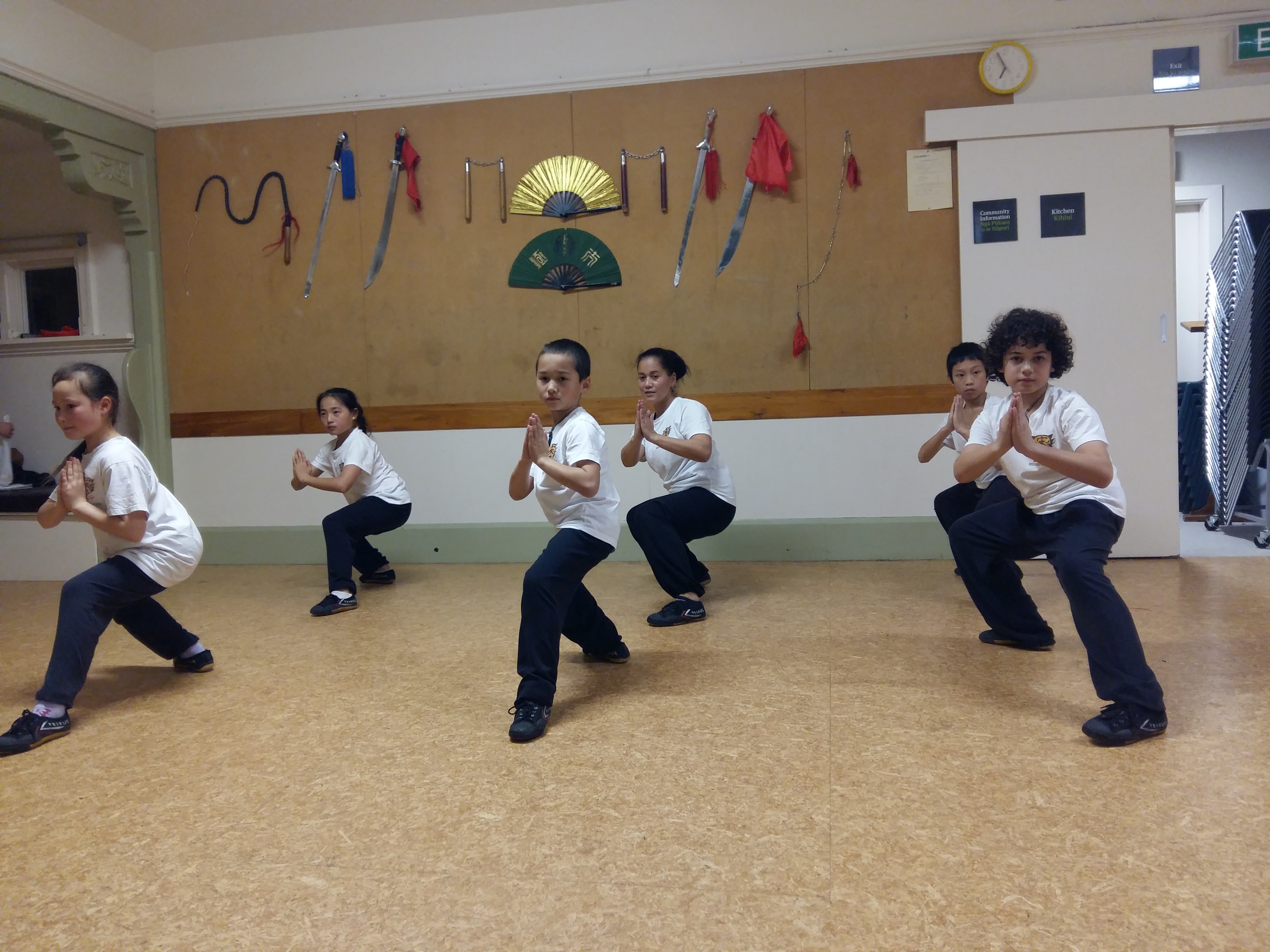 Shaolin Kung-Fu, Wushu, Sanda ,Tai Chi & Qigong