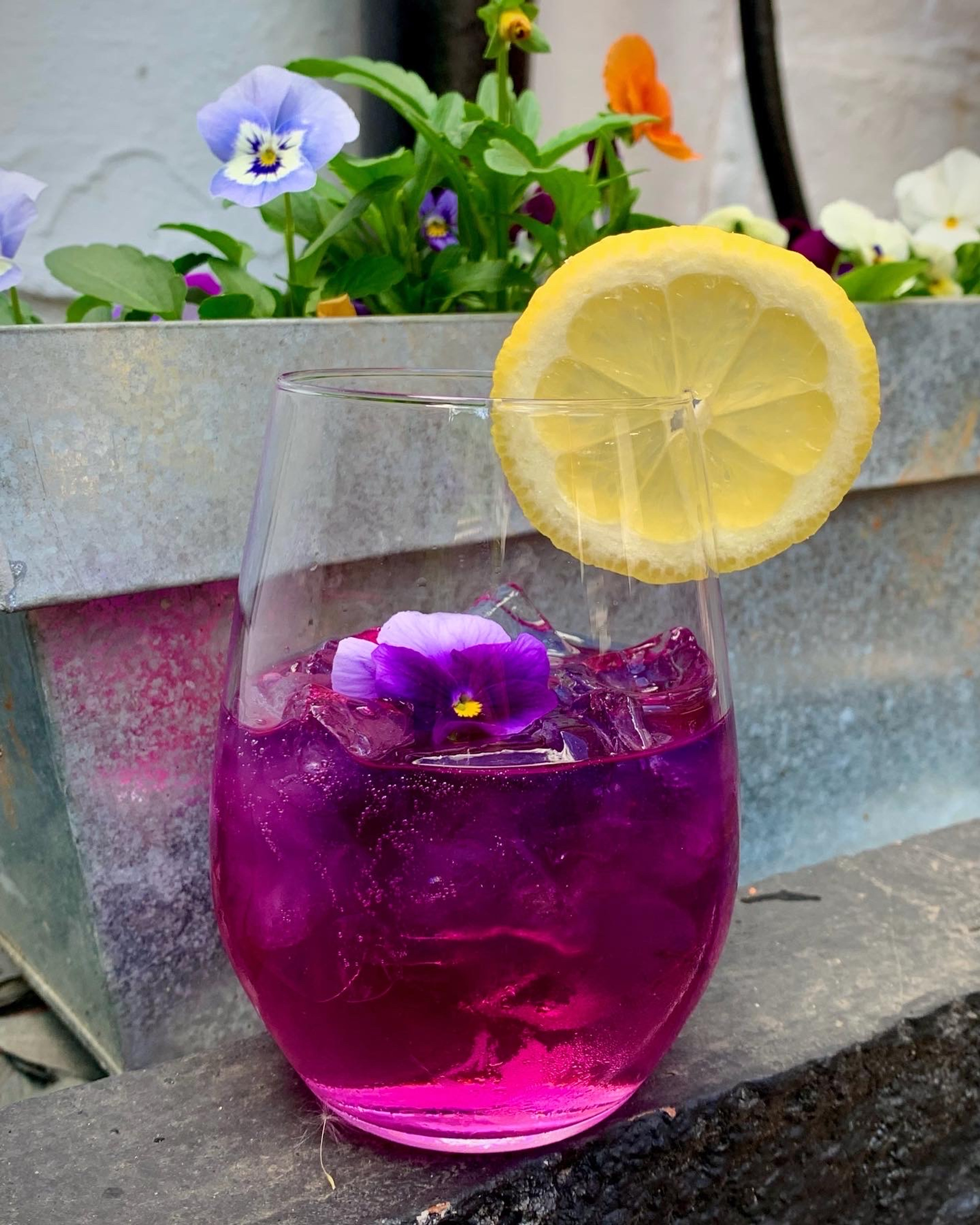 Bar Menu | The Ripley Anchor