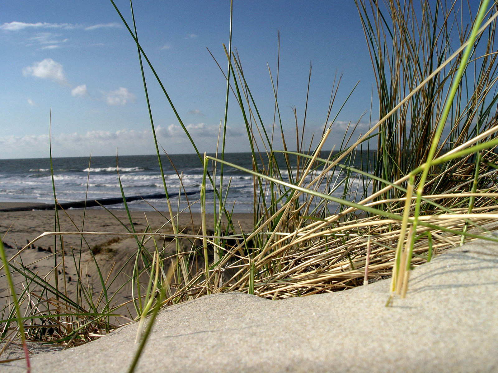 Chaletpark Luttikduin | Callantsoog | Camping | Strand | Noordzee