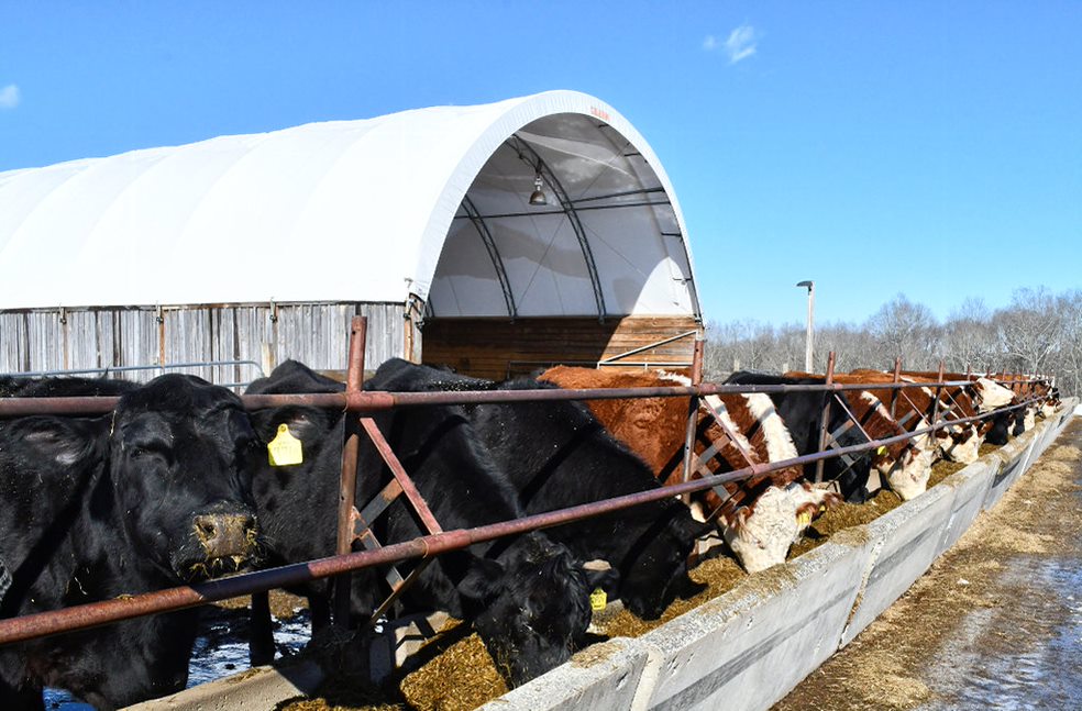 Home | UConn Block and Bridle