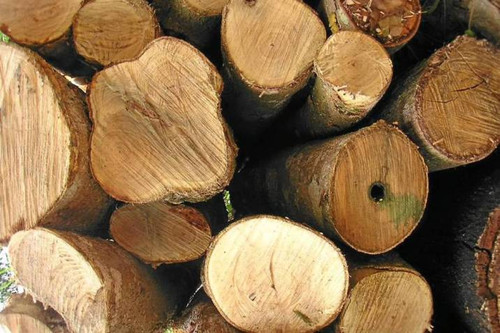 Madera Abarco | Abastecedora de Made
