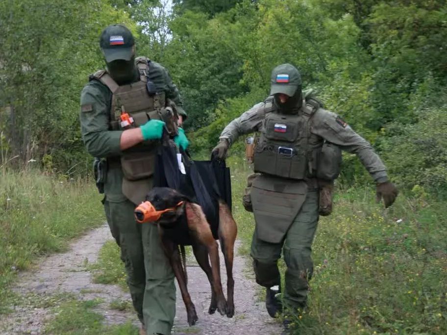 The Importance of Army Litter For Casualty Evacuation