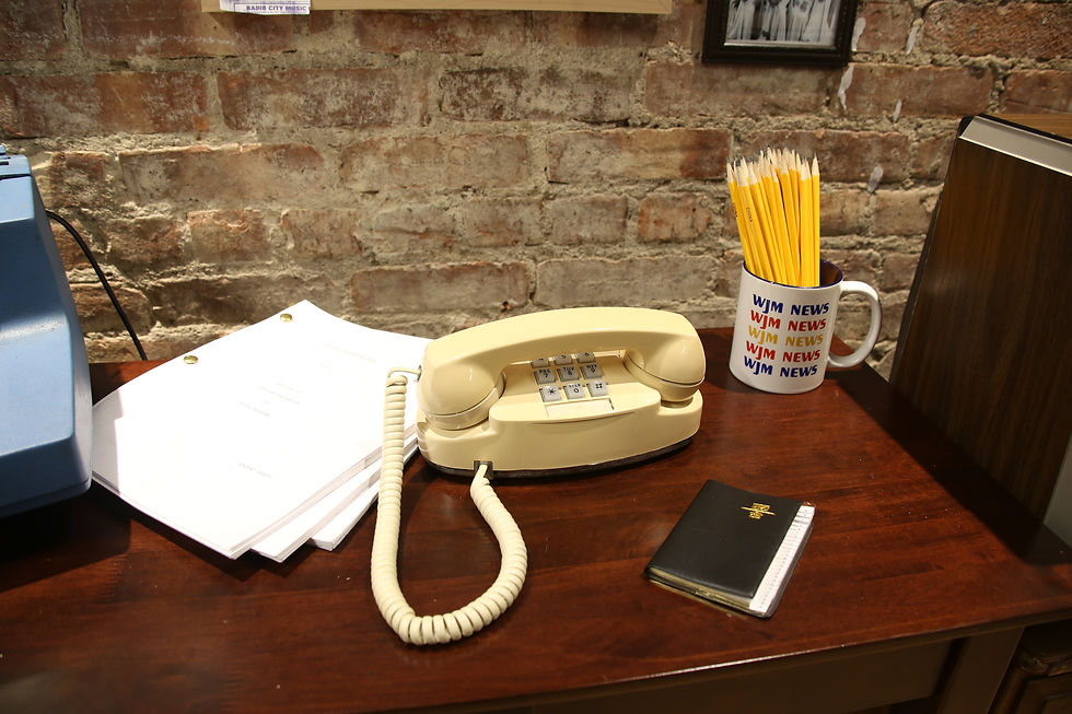 Museum of Funny Ladies | Angela Perrone