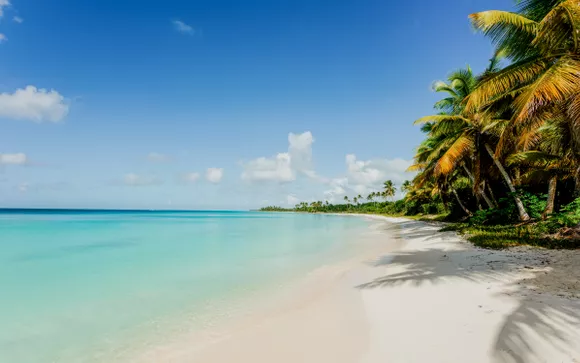 Data Trip | Inteligencia Digital. Simple.